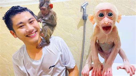 What Did PiPi And TiTi Do After Coming Back From The Beach YouTube