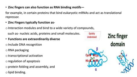 Dna Protein Interaction Pptx