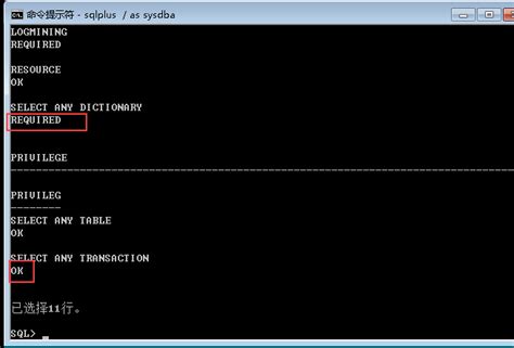 Oracle环境准备logminer 九数云帮助文档