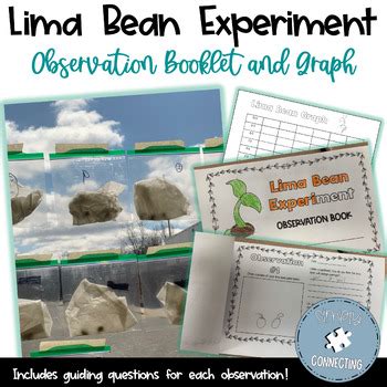Lima Bean Experiment Booklet And Graph By Simply Connecting TPT
