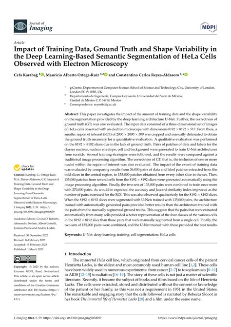 Pdf Impact Of Training Data Ground Truth And Shape Variability In