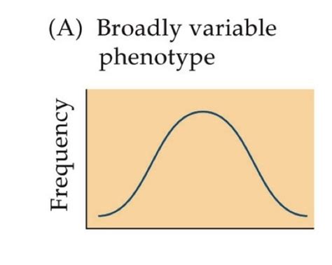 Soe 435 Midterm 2 Flashcards Quizlet Soe 435 Midterm 2 Flashcards Quizlet