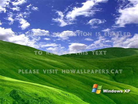 Microsoft Wallpaper Grass