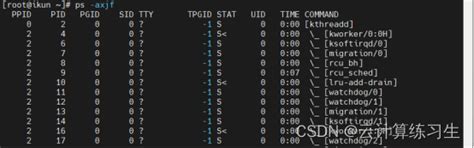 Linux进阶篇：进程检测和控制：ps命令详细讲解ps命令参数详解 Csdn博客