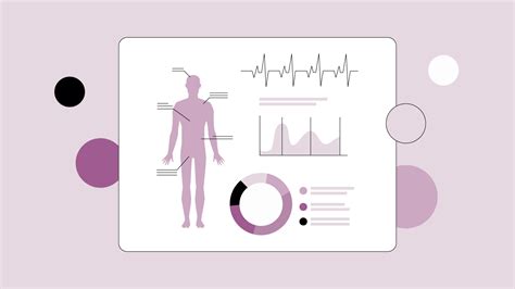 Ehr Implementation Steps Timeline And Approaches