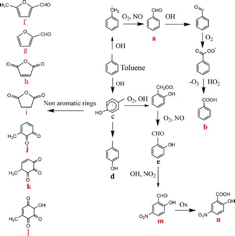 The Key Intermediates And The Major Oxidation Products Derived From
