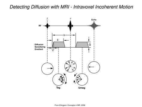 Ppt Diffusion Physics Thermal Agitation Powerpoint Presentation
