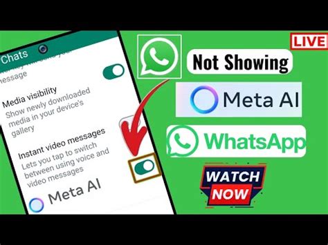Meta AI Not Showing On WhatsApp Rules 2024 How To Get Meta AI On