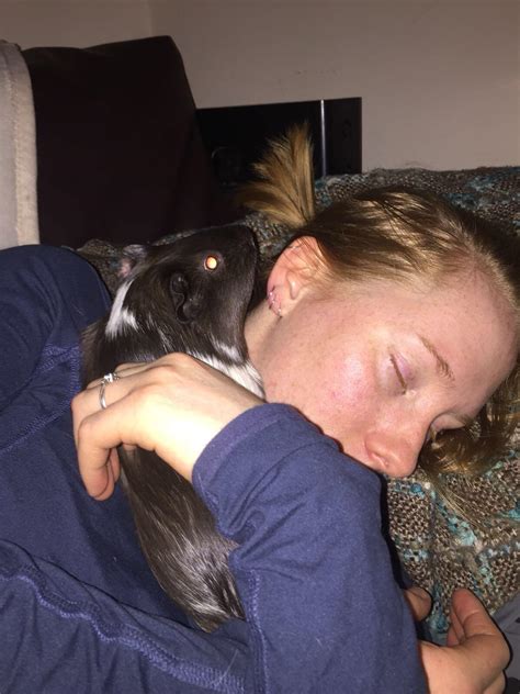 175 Best Mousey Images On Pholder V Shojo Ironmouse And Aww