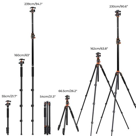 What Are The Best Camera Tripods