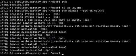 Dell Unity Setting A Custom Banner With Svcbanner Fails With