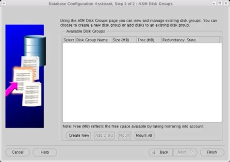 Oracle Base Asm Using Asmlib And Raw Devices