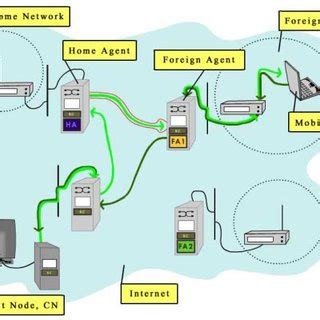 The Structure Of An IPv Packet Header Download Scientific Diagram