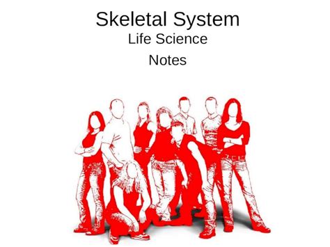 PPT Skeletal System Life Science Notes Skeletal System Life Science Objectives