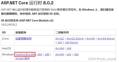 Net80 Webapi 发布到 Iis 详细步骤webapi发布 Csdn博客