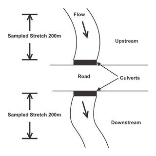 Diagram Showing The Design Of Fish Sampling In The Streams Download Scientific Diagram