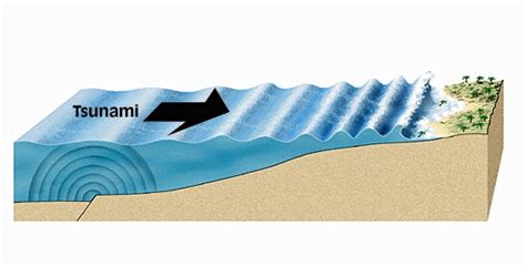 What Are Tsunamis Cause And Prediction Of Tsunami