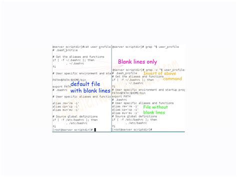Grep Regex Practical Examples Of Regular Expressions