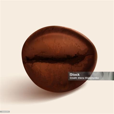 커피 곡물 커피 콩 현실적인 로스팅의 다양한 단계를 보여주는 커피의 향기를 묘사한 구성 갈색에 대한 스톡 벡터 아트 및 기타 이미지 Istock