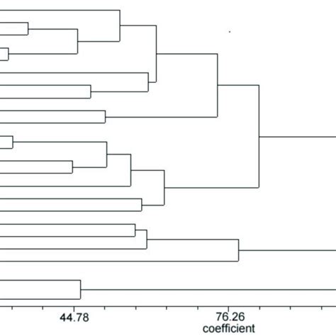 Dendrogram Of The Tunisian Melon Accessions Based On Upgma Analysis