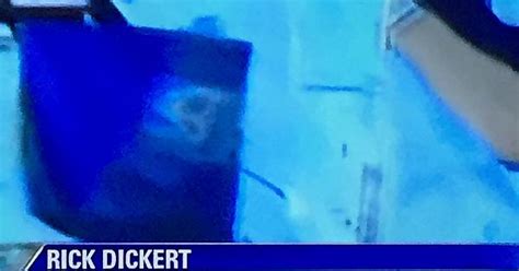 Do Ausies Like Ants Imgur