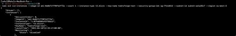 How To Manage AWS EC2 Instances Using Aws Cli