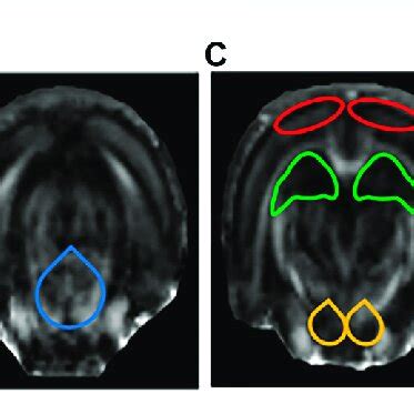 Display Diagram Of FA Values N 6 A Display Diagram Of FA Values Download Scientific