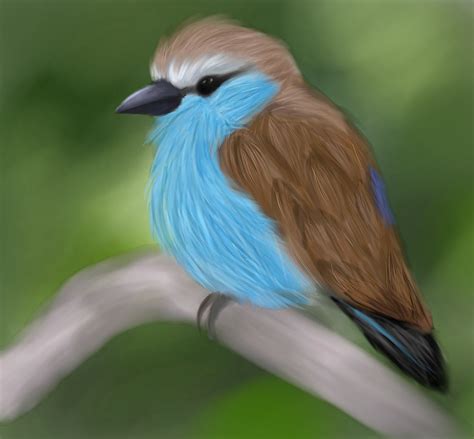 Realistic Bird Drawing By Dinosauralicia On DeviantArt