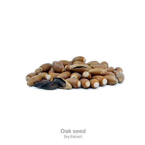 Oak Seed Dry Extract شرکت دارویی زردبند