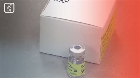 ალცჰაიმერის პირველი პრეპარატი Youtube