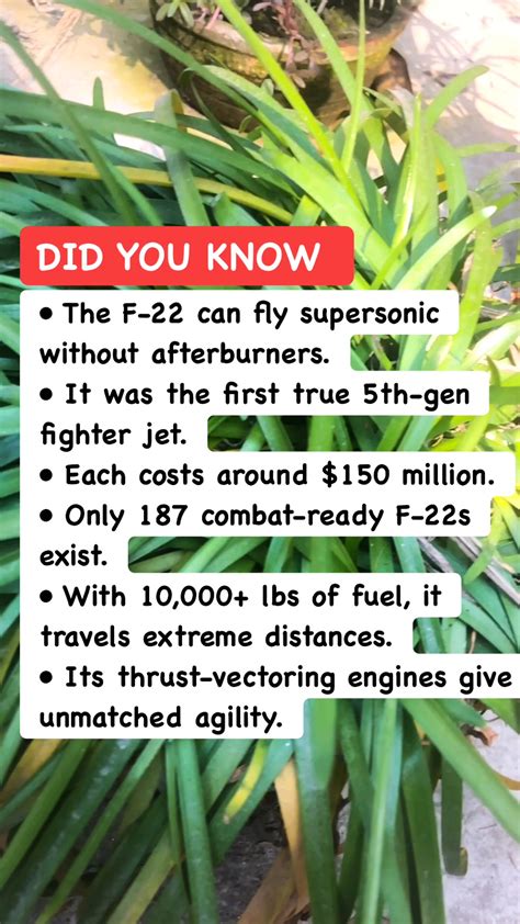 ️ Aviation Facts Pilots Dont Want You To Know Aviationfacts
