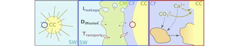 Geochemical Modelling Shells • Oceans • Carbon