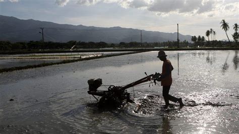 Experts Concerned Over Eu Due Diligence Laws Impact On Global South