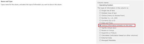 Lookup Columns In Sharepoint 2010 ~ Explore Microsoft 365