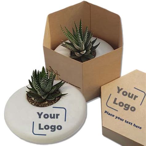 گلدان گل طبیعی رومیزی فانتزی مدل بهارک استاف مارکت فروش عمده