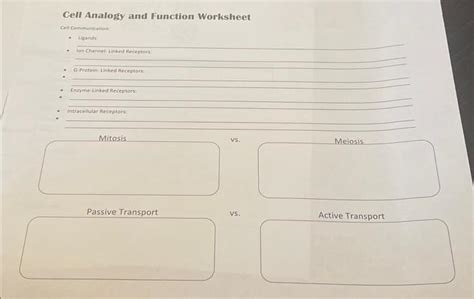 Solved Cell Analogy And Function Worksheet Cell Analogy And
