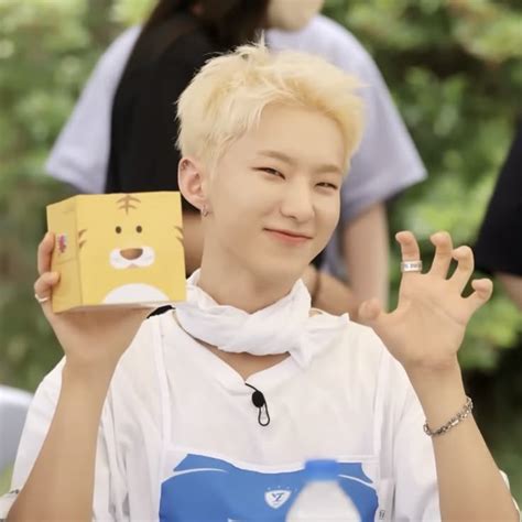 Pin By 연정 김 On 🐯hoshi🐯 Hoshi Seventeen Hoshi Seventeen Album