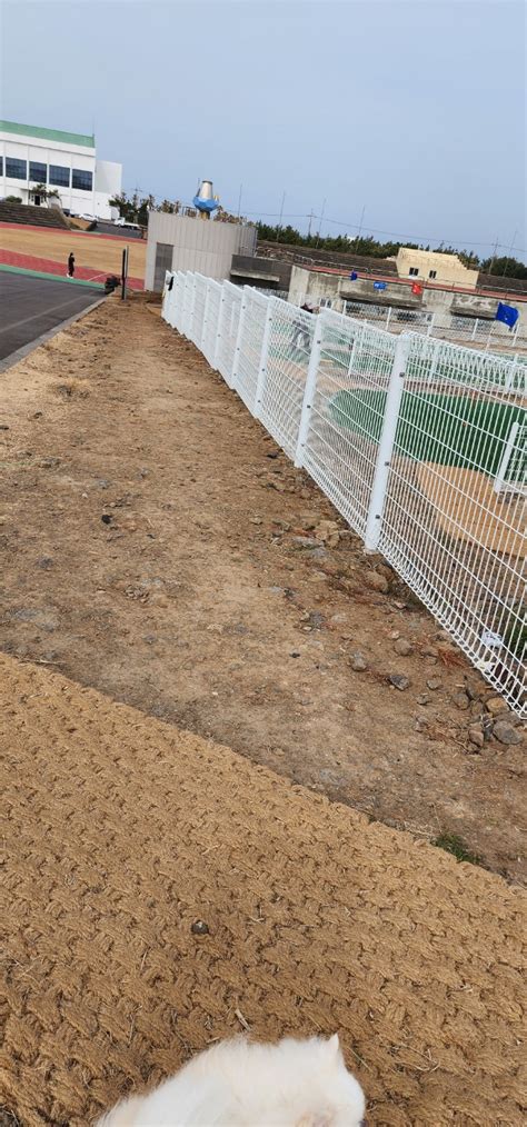 원샷 파크골프장 체육진흥과에 어제 시설팀에 찾아가서 요청드리고 오늘 담당자에게 문자요청하였습니다 통행로 야자수 보완 깃발 교체 바람의 언 제주특별자치도 파크골프