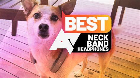 Best Neckband Headphones In Best Neckband Headphones In