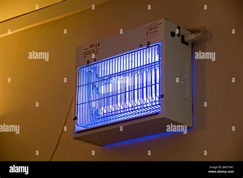Electric Fly Trap Price In India At Theresa Hanson Blog