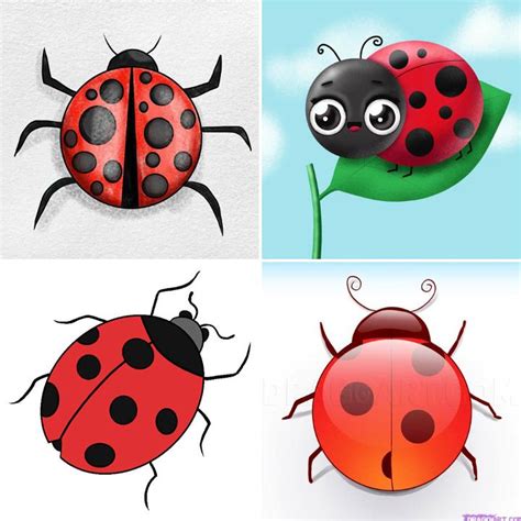 15 Easy Ladybug Drawing Ideas How To Draw A Ladybug