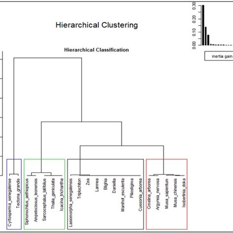 Hierarchical Classification By Dendrogram Of Leaf Packaging Species