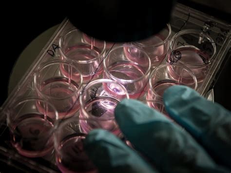 Ireland To Get Its Own Dedicated 3d Bioprinting Lab To Grow ‘living Tissue