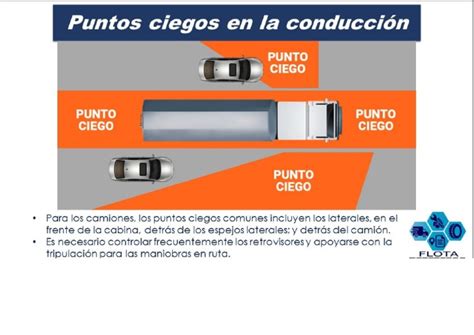 Puntos Ciegos Pdf