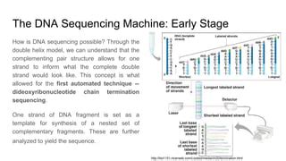 DNA Sequencing Outline PDF