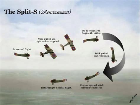 Basic Air Combat Maneuvers Lunafrosd