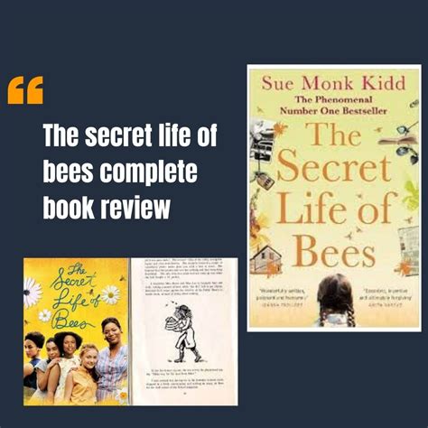 The Secret Life Of Bees A Book Review By A Khan Illuminations