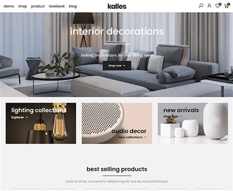 Shopify Web Design Agency Shopify Website Development