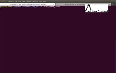 Udp Sample Socket Code For Systems And Network Software Developers