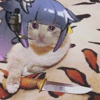 明日方舟表情包涤火杰西卡流泪猫猫头 哔哩哔哩